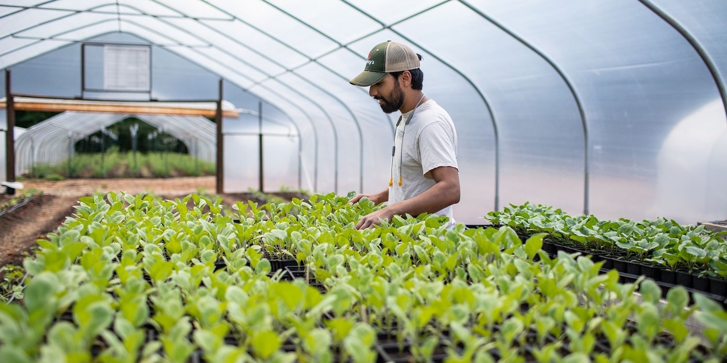 The Common Market | Introducing The Georgia ACRE Collective: Advancing