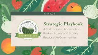 The Common Market | Case Studies and Reports